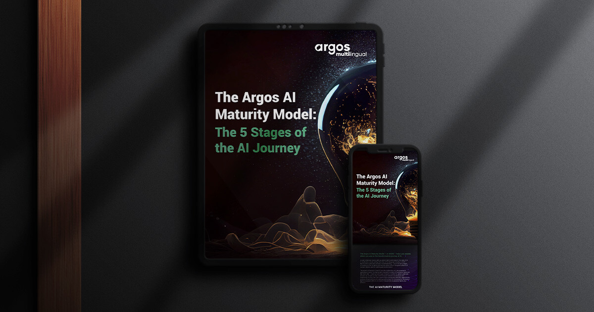 The AI Maturity Model